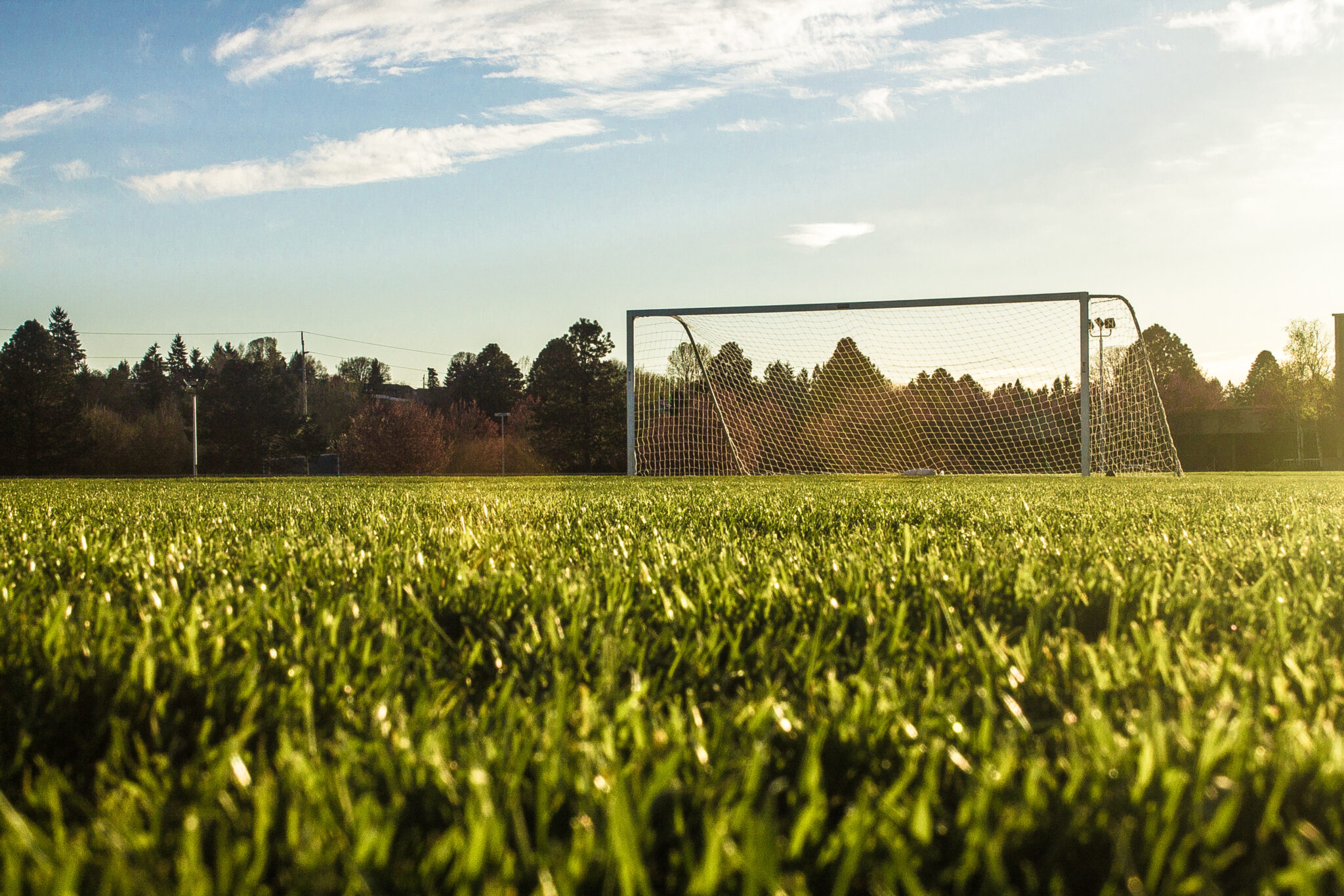 Shock pads for soccer fields | ProGame by TROCELLEN